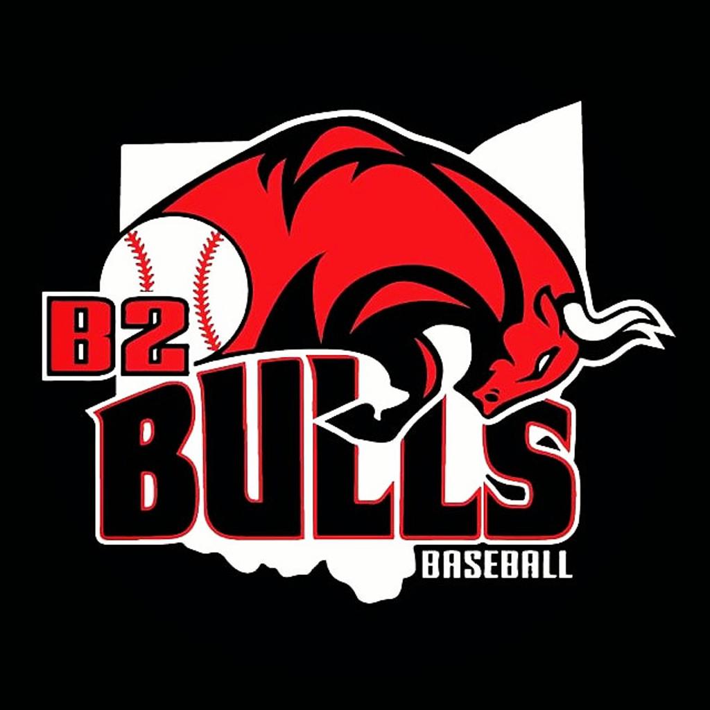 B2 Bulls