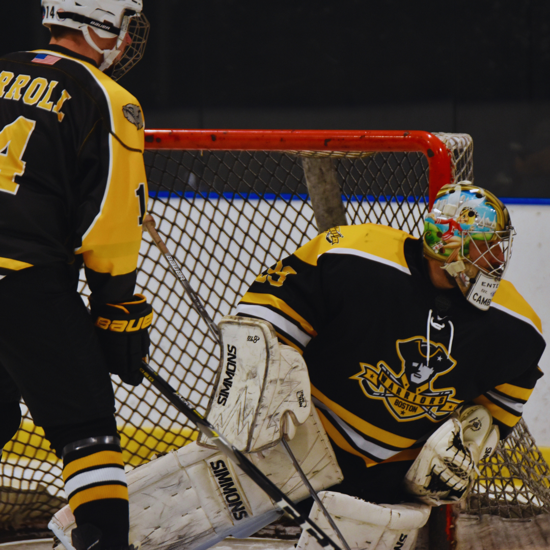 Adaptive Hockey