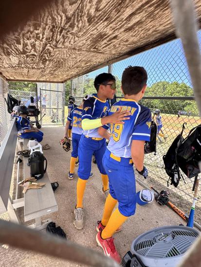 Pinellas County Youth Baseball