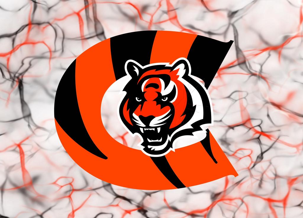 Chester Bengals | Photos | Chesterfield Quarterback League