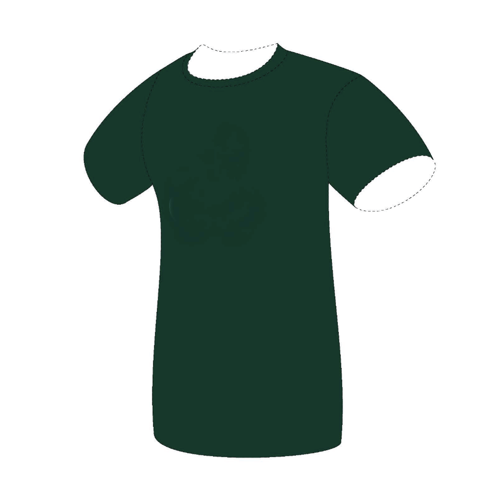 About the Atlanta Vipers