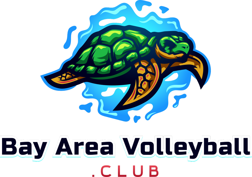 Bayareavolleyball.club