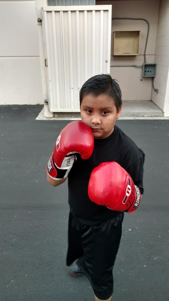BOXING SKILLS & FITNESS
