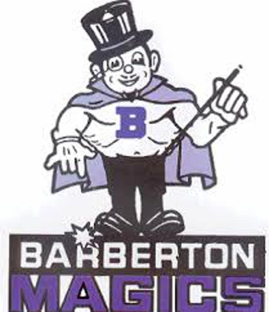 Barberton Magics 11U