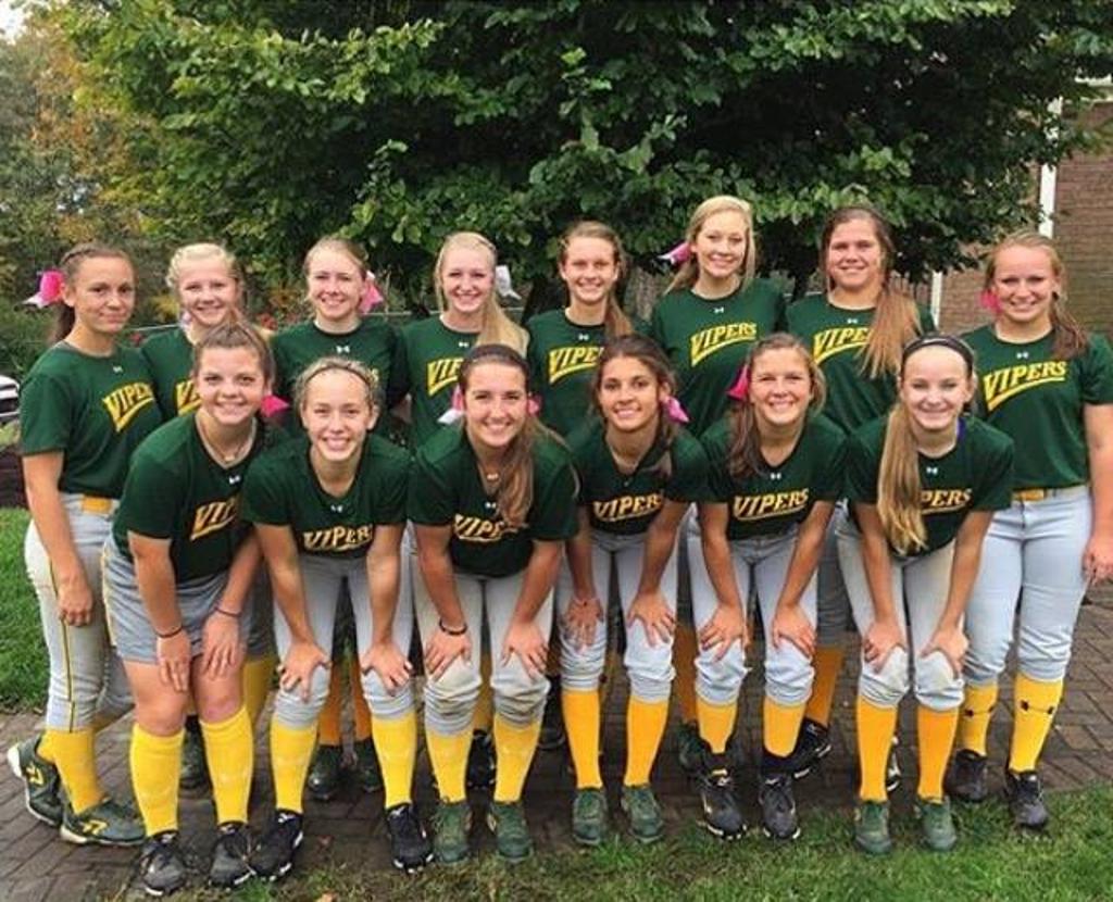 About the Atlanta Vipers