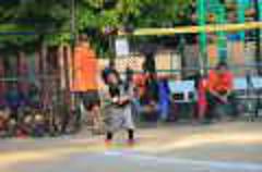 Franklin Park Vipers Youth Baseball and Softball