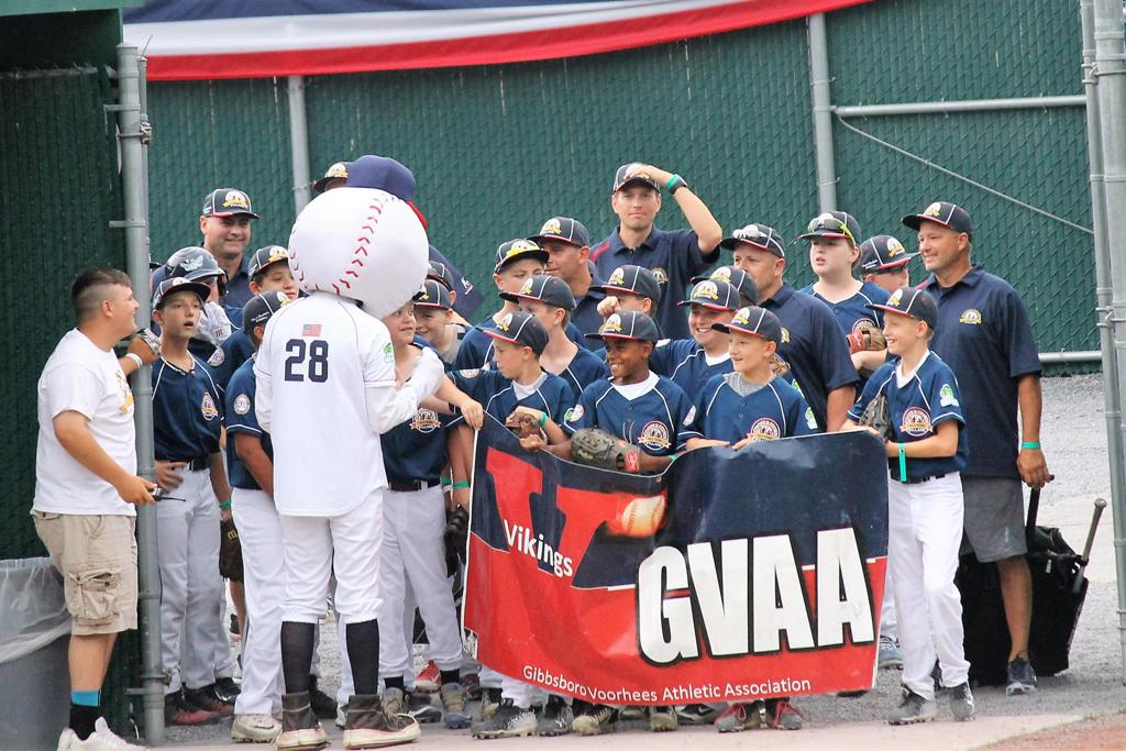 2017 12u District Vikings | Photos | GVAA Youth Baseball