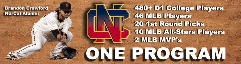 NorCal Baseball Club