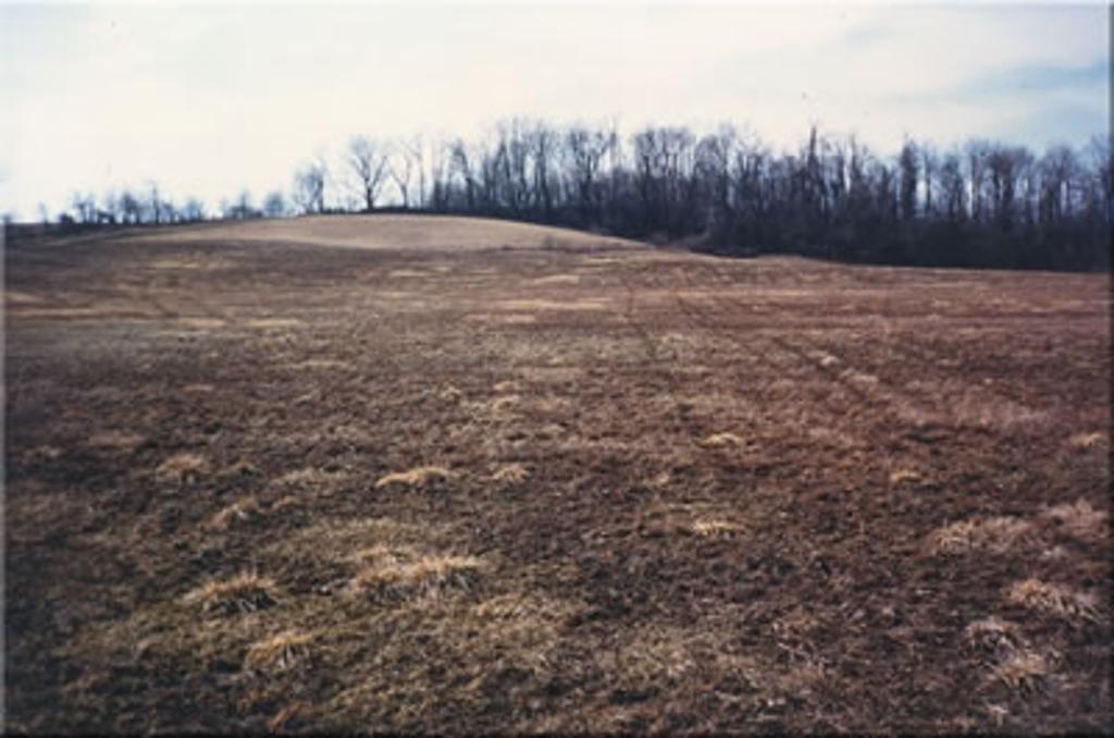 | Photos | Lancaster Post 11 American Legion Baseball