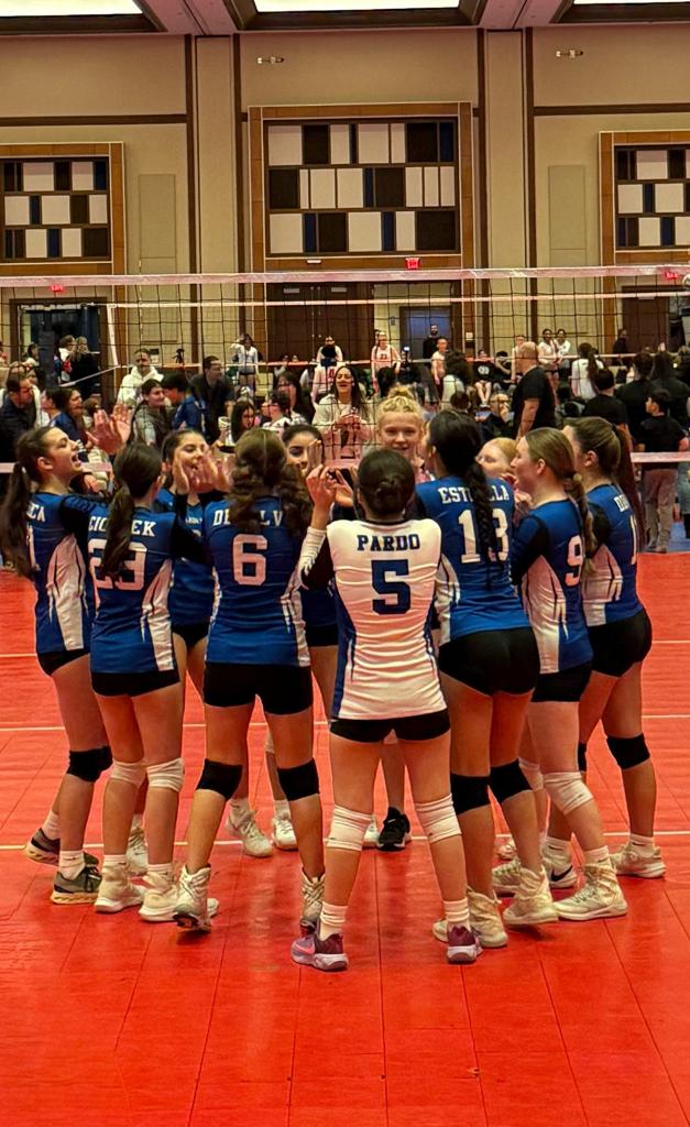 NYC Lady Bulldogs Volleyball Club
