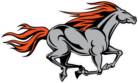 Stallions