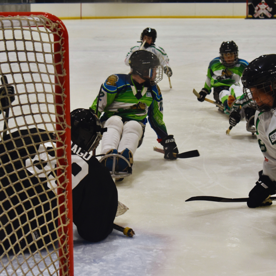 Adaptive Hockey
