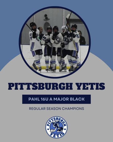 YETIS