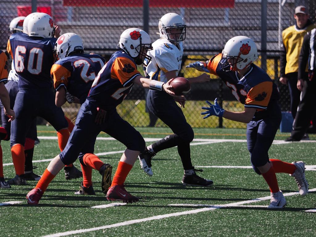 Calgary Wildcats Football
