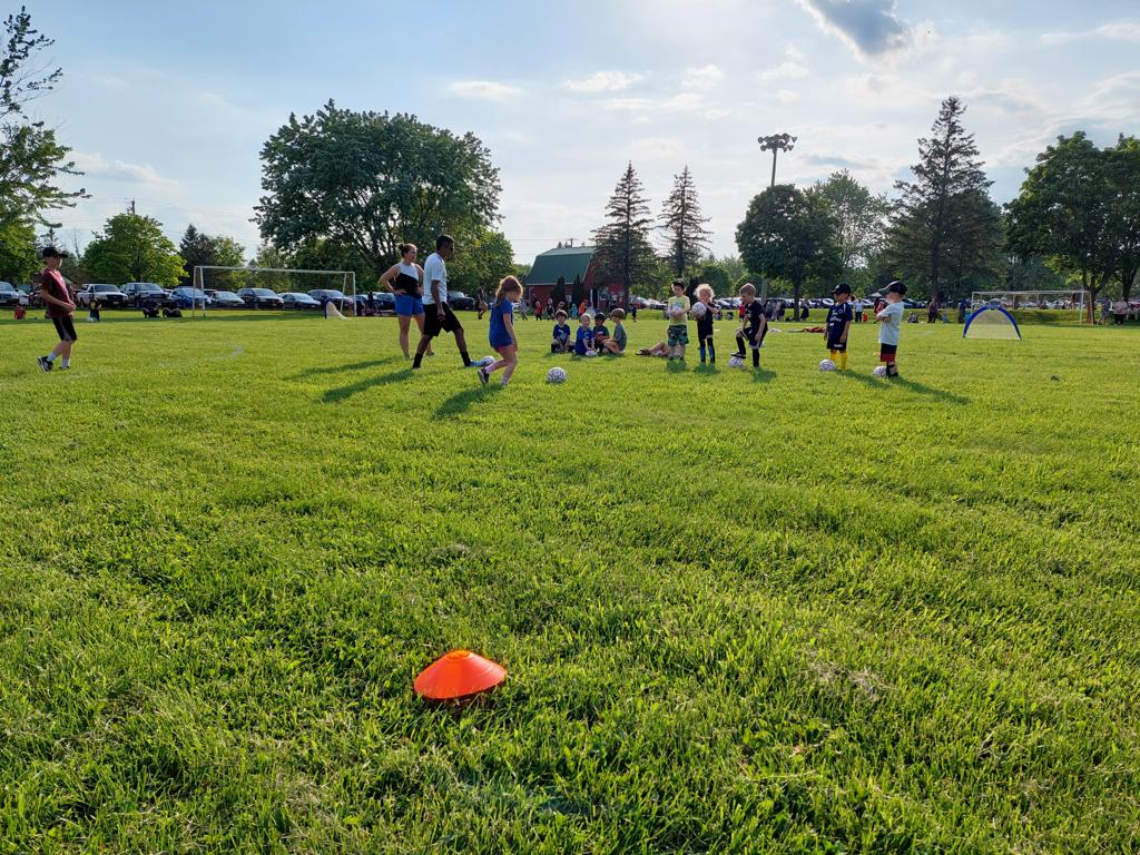 House League (Timbits)