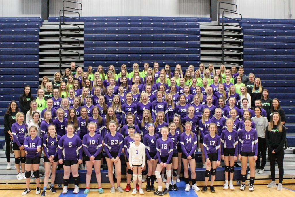 About Elite Alliance Volleyball