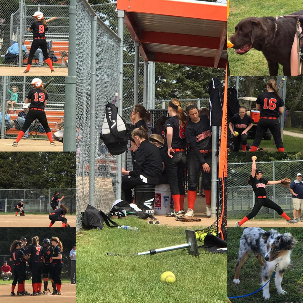 Cedarburg Bulldogs Softball
