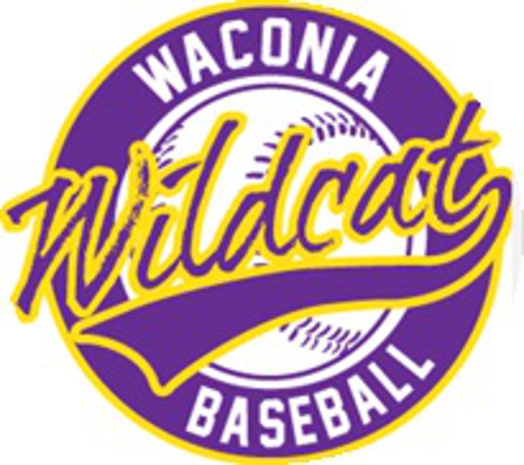 Waconia Metro Baseball