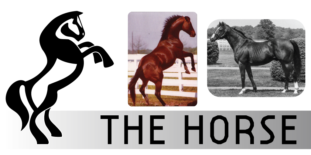 Anatomy of The Crest