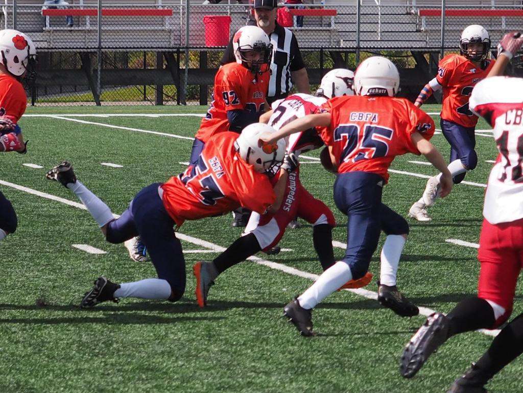 Calgary Wildcats Football