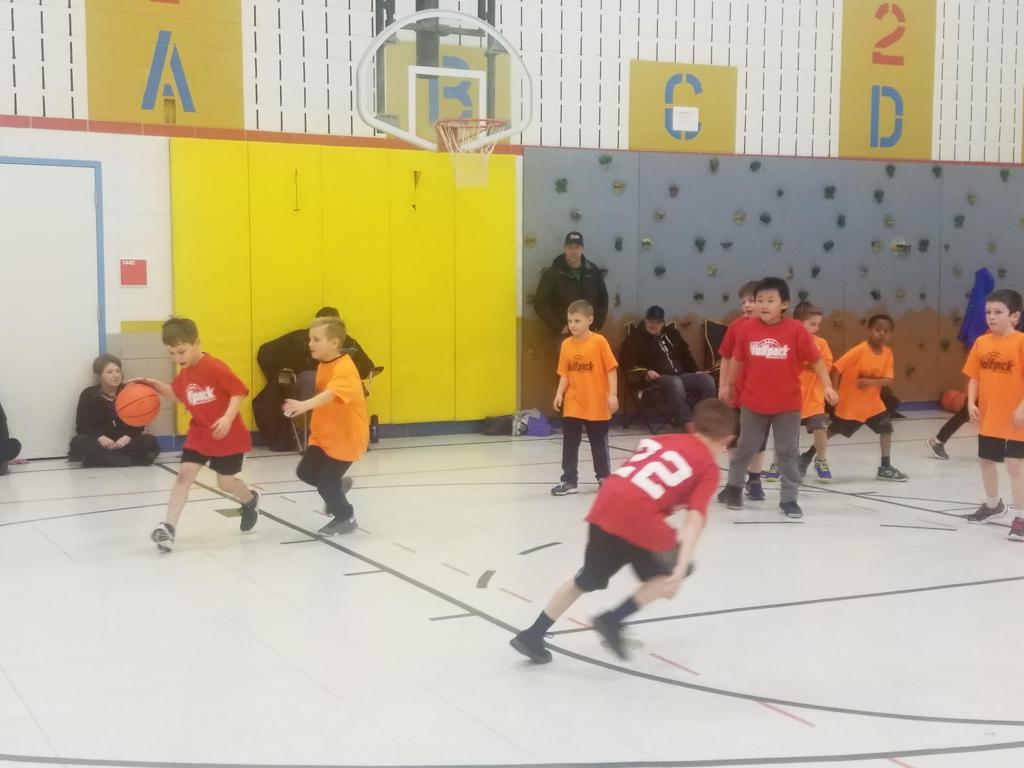 Recreation Basketball