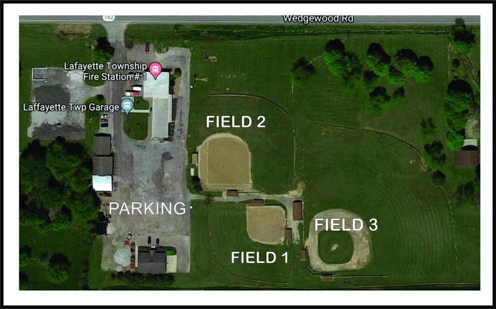 Fields