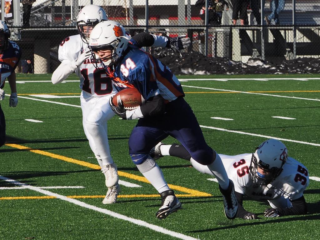 Calgary Wildcats Football