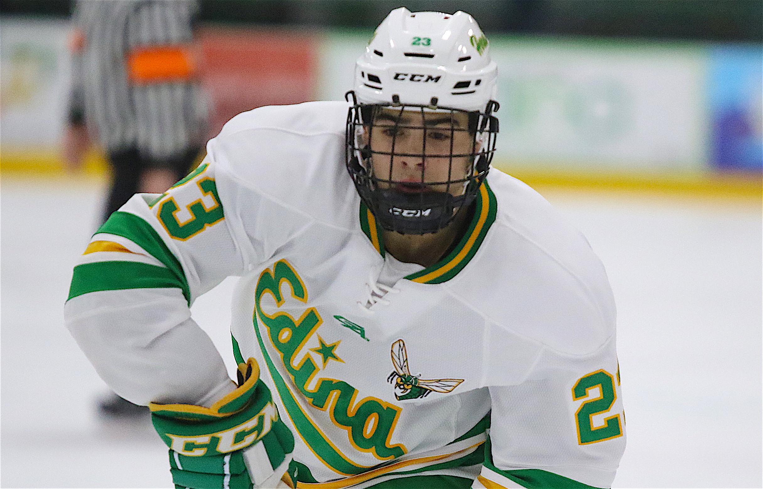 Mr. Hockey Finalists named