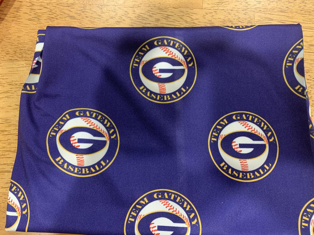 GATEWAY BABE RUTH REGIONAL LEAGUE