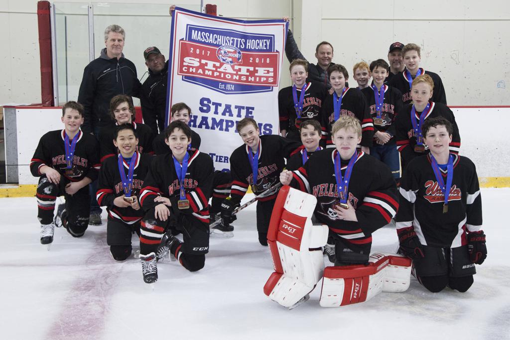 12U (Pee Wee) Tier III Large