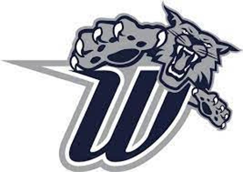 Willoughby Wildcats (VR)