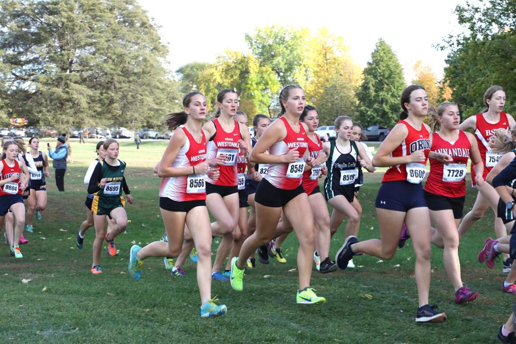 White Hawks Run in Cross Country Section Preview