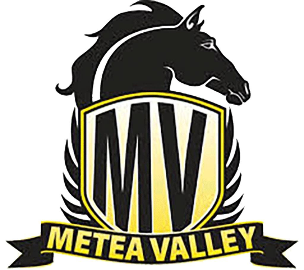 Metea Valley
