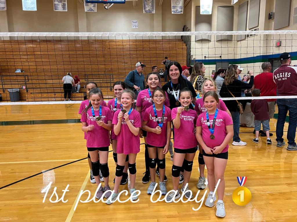 Volleylite Developmental Program