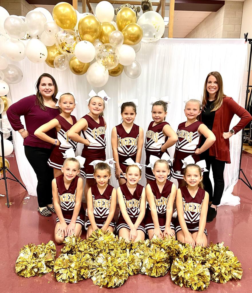 Welcome to DSYSA Cheerleading!