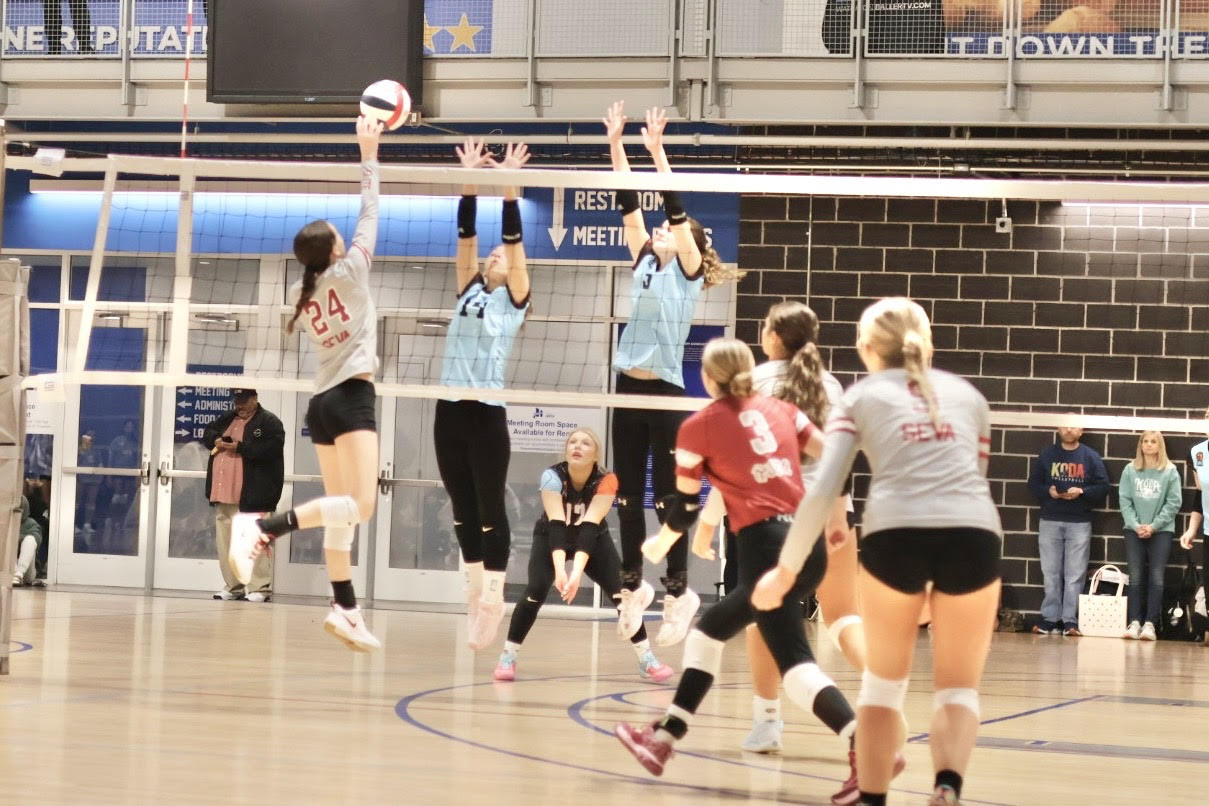 Southern Elite Volleyball Academy