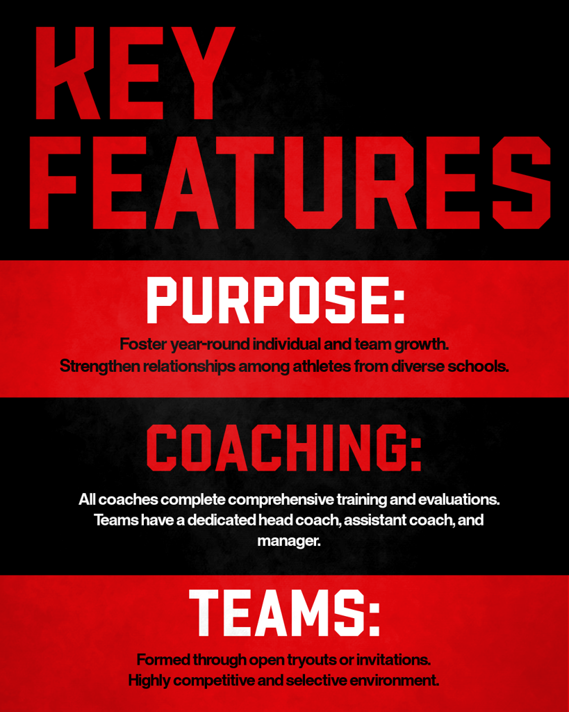 Bruins AAU Program