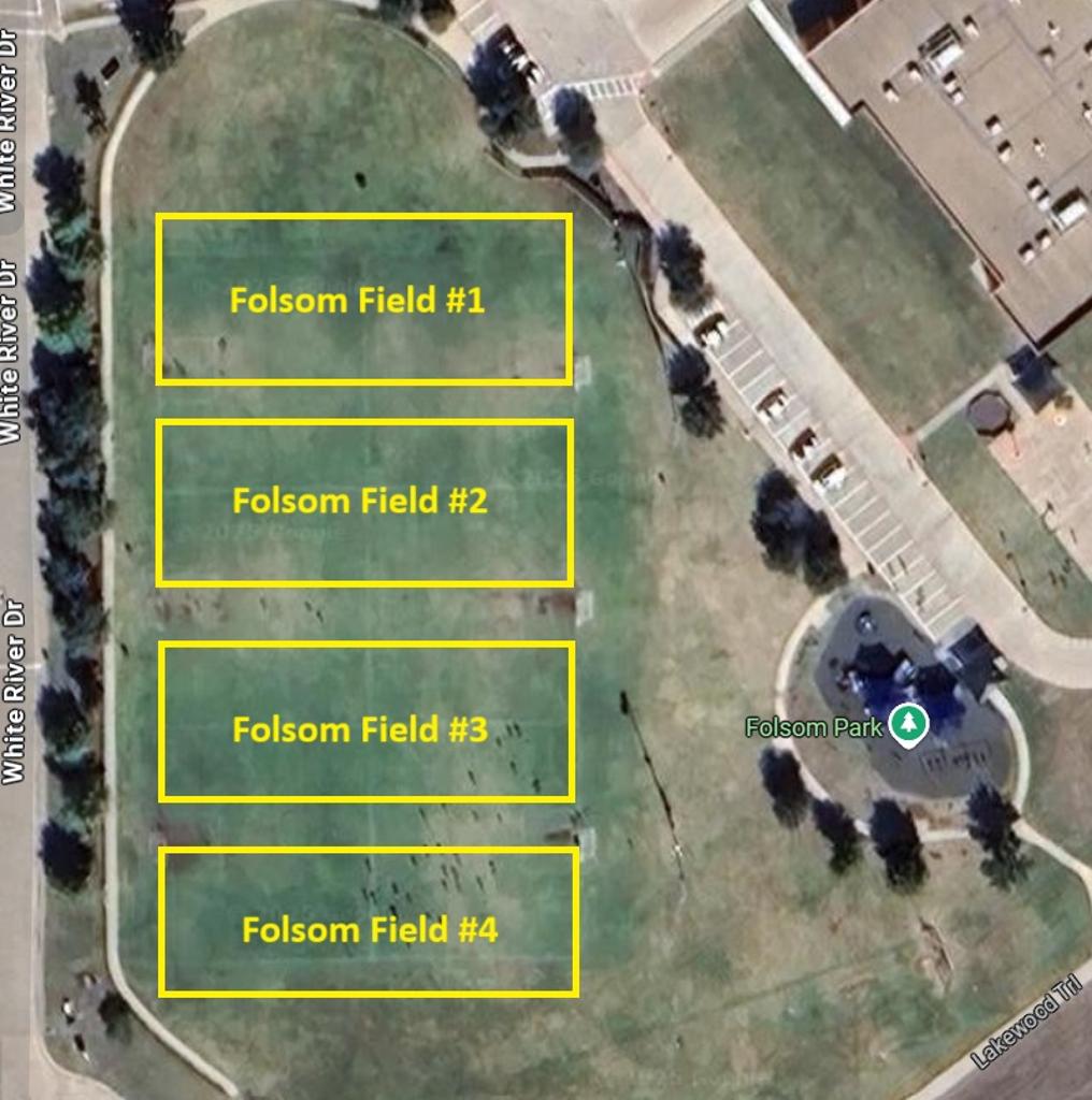 Field Layouts & Conditions