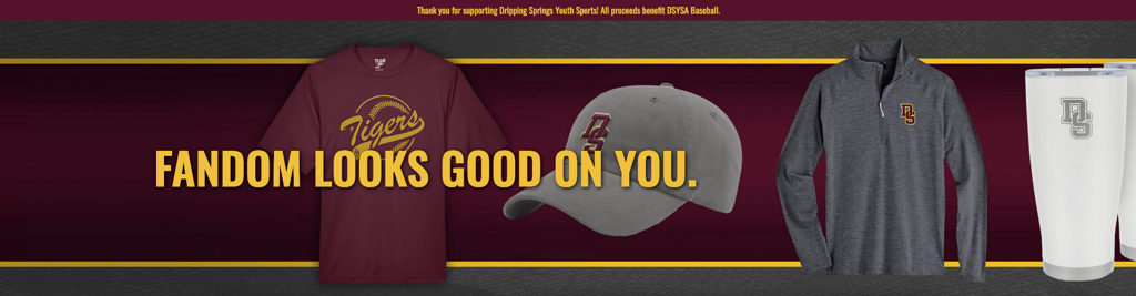 Welcome to DSYSA Baseball