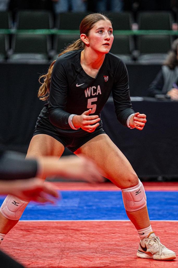 Knights Claim 3rd Place at Class A State Volleyball Tournament