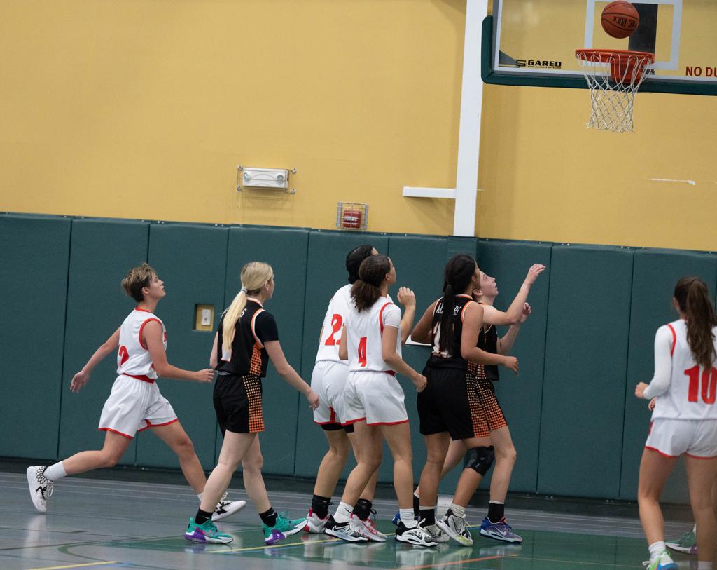 Girls Basketball Tournament DMV Challenge Divas of the Court June 10 ...