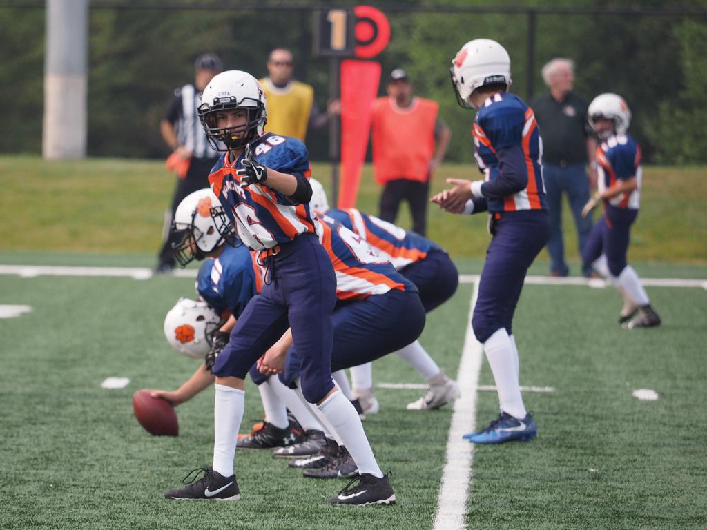 Calgary Wildcats Football