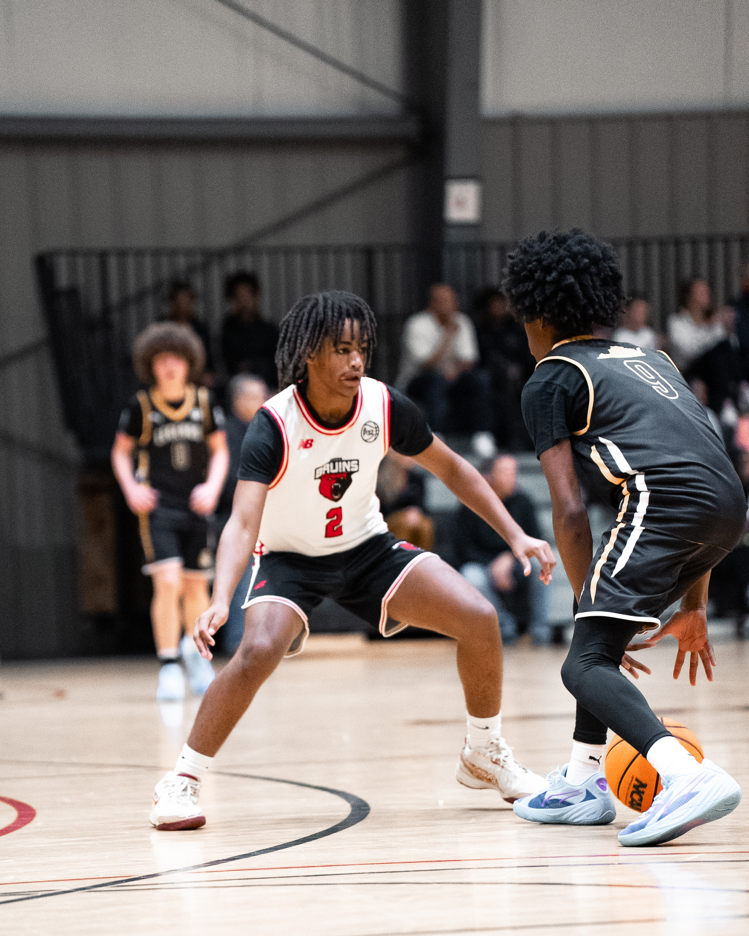 Bruins AAU Program