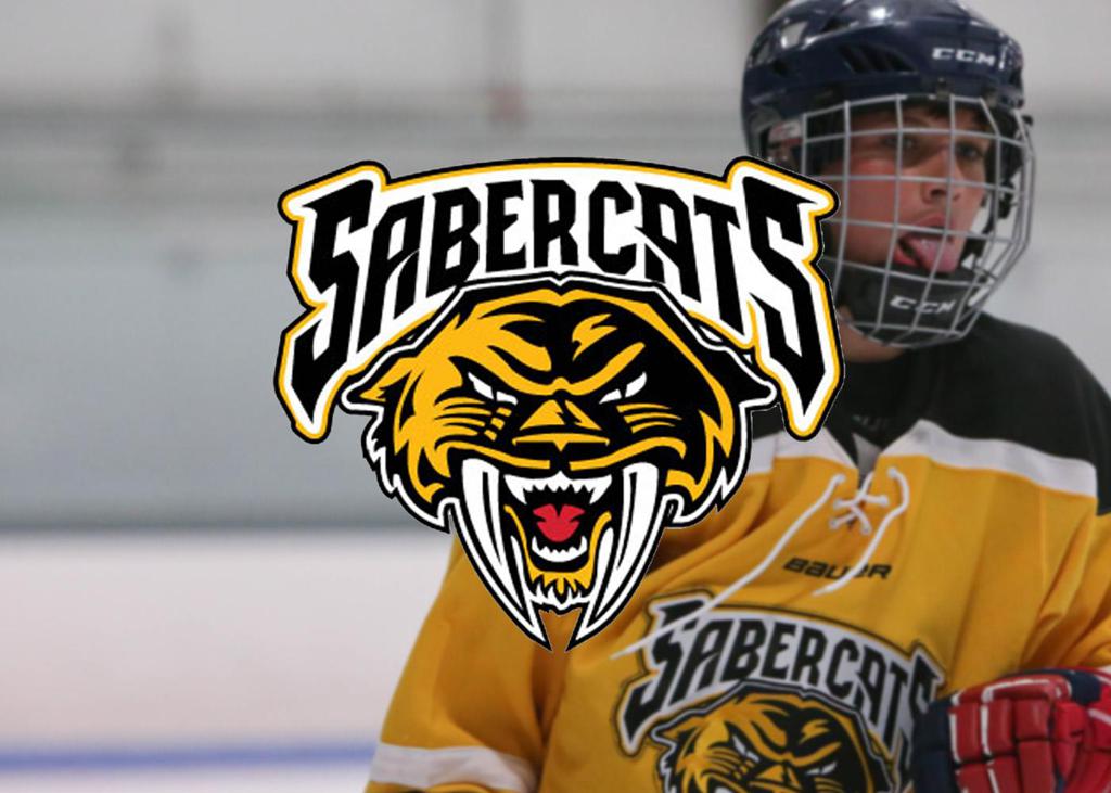 South Shore Sabercats