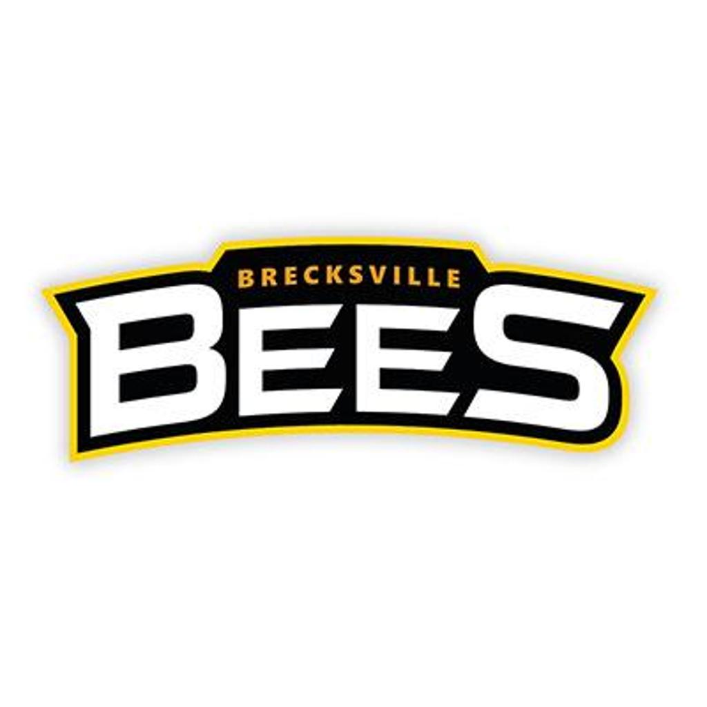 Bees Baseball