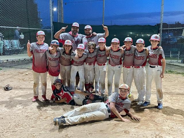 FAIRFIELD FALCONS BASEBALL