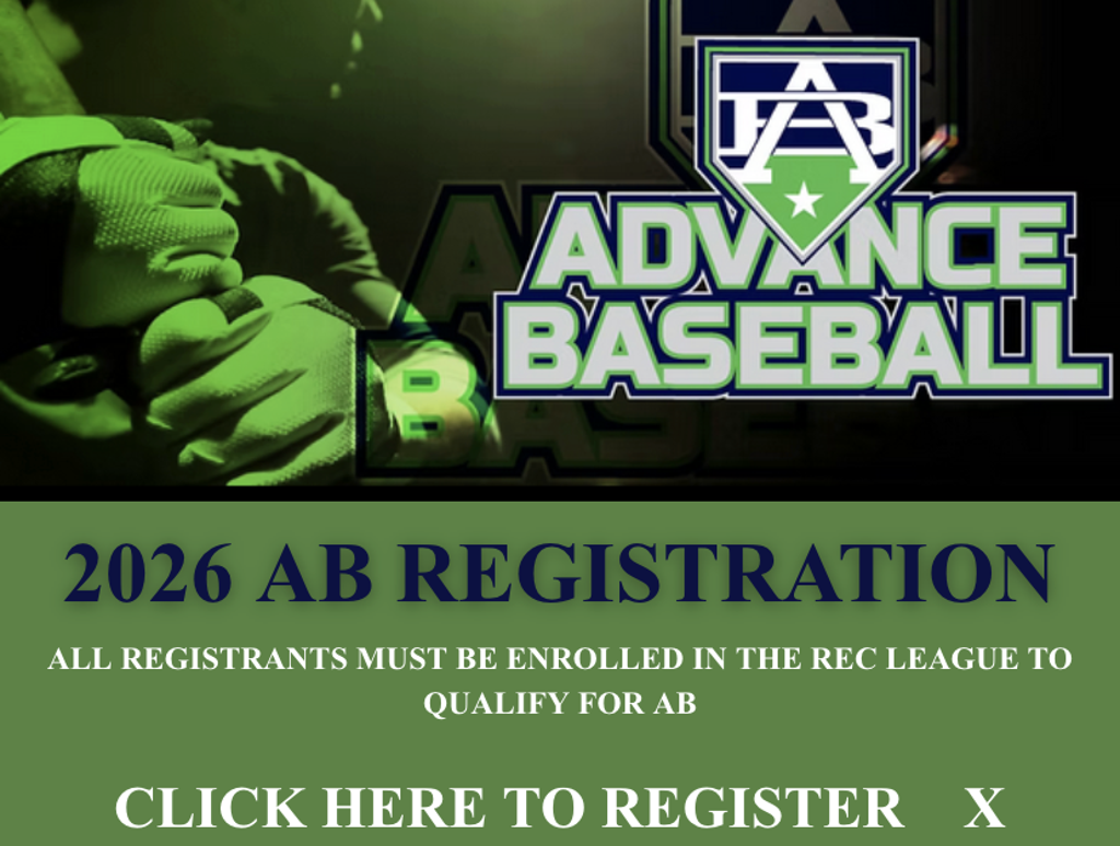 Lutz Baseball
