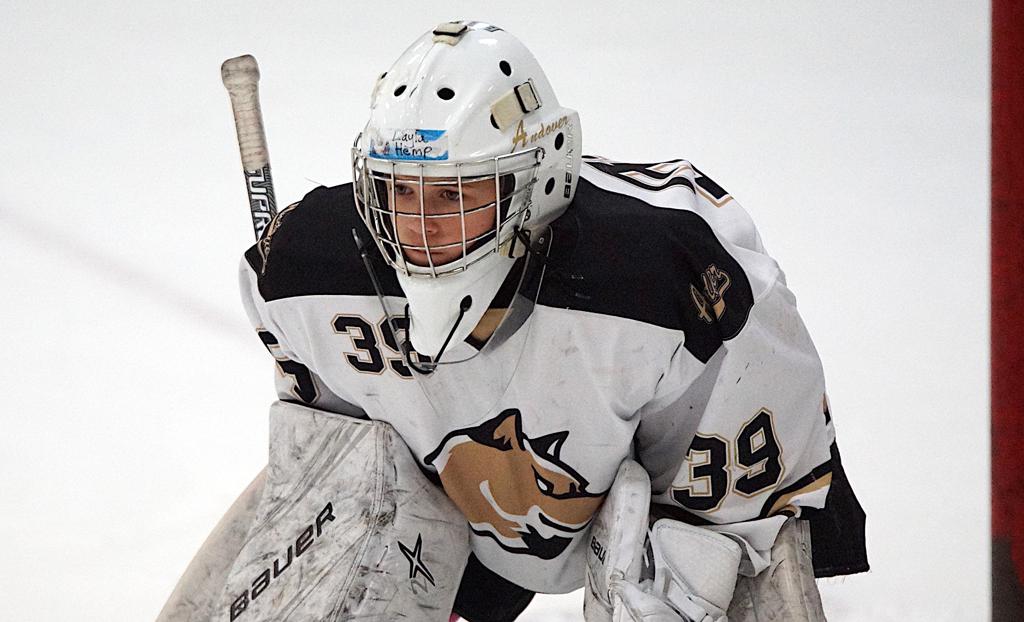 MN Hockey Tier I Playoffs Preview