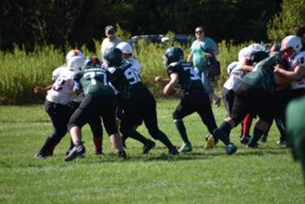 Waterford Youth Football Memories | Photos | Waterford Wolverine Youth ...