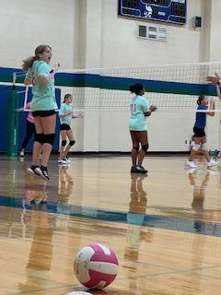 Volleylite Developmental Program